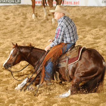 Latest News - Wolf Livestock