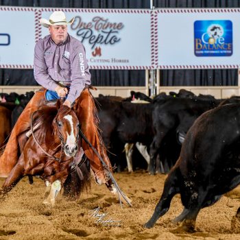 Latest News - Wolf Livestock