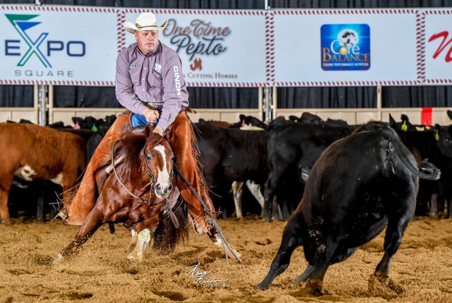 Wolf Livestock – Investing in the Future