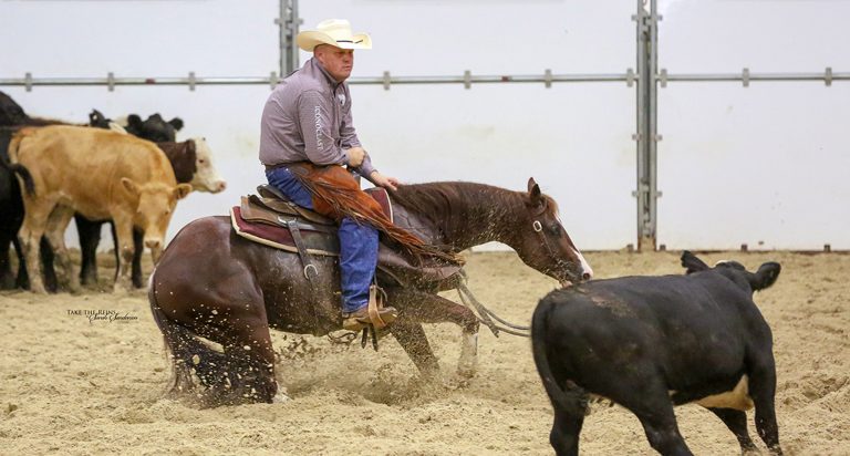 Dual Reyish - Wolf Livestock