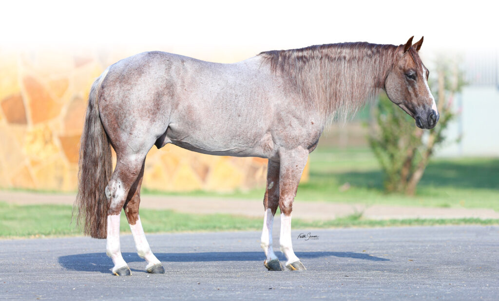 Lone Woolf - Wolf Livestock